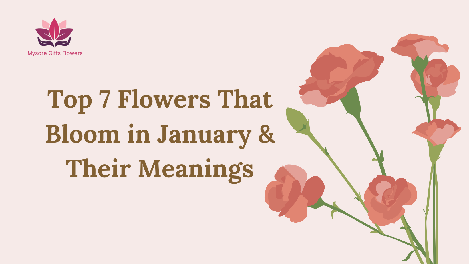 Top 7 Flowers That Bloom in January and Their Meanings - Mysore